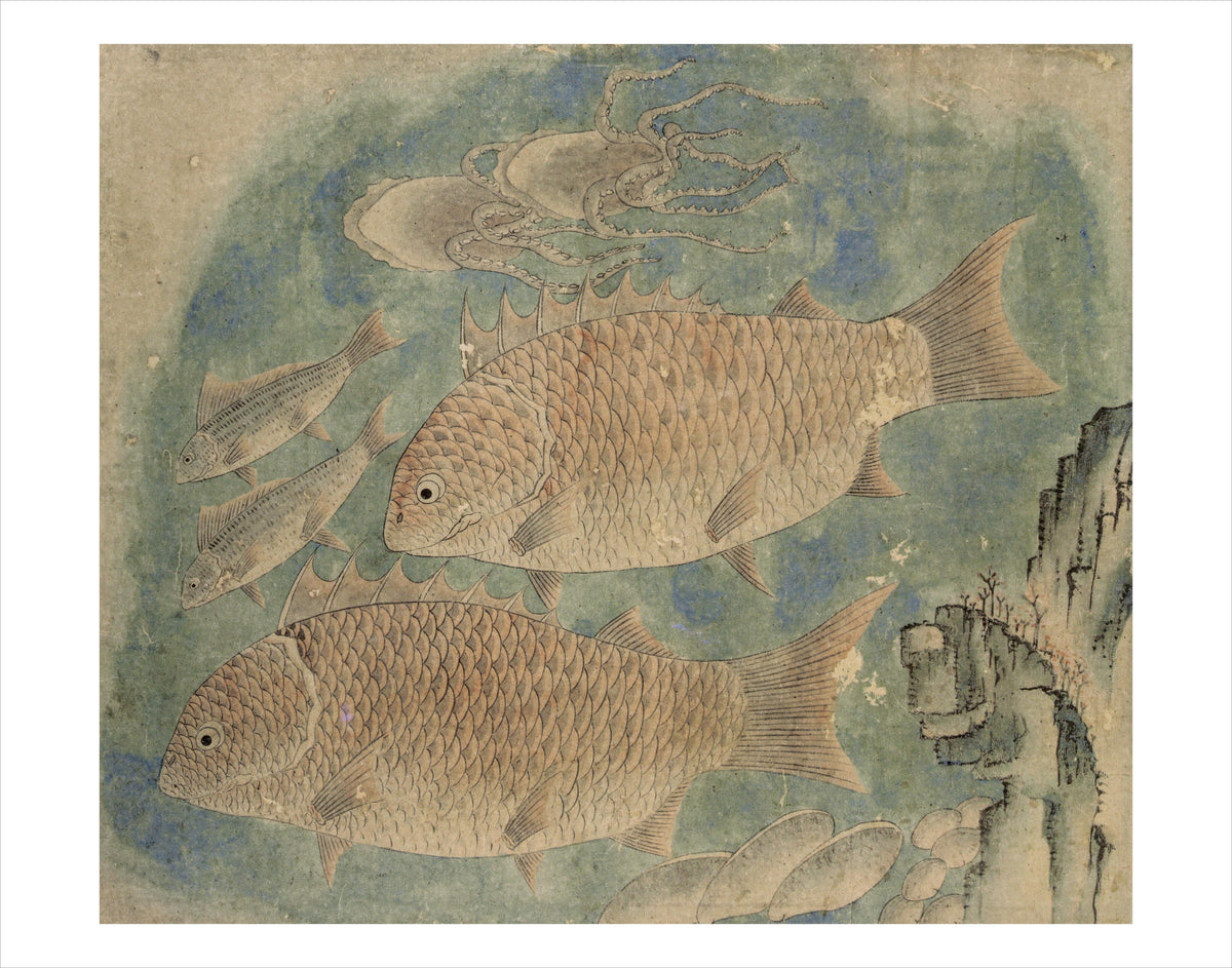 Flocking Fish – Seoul Collect